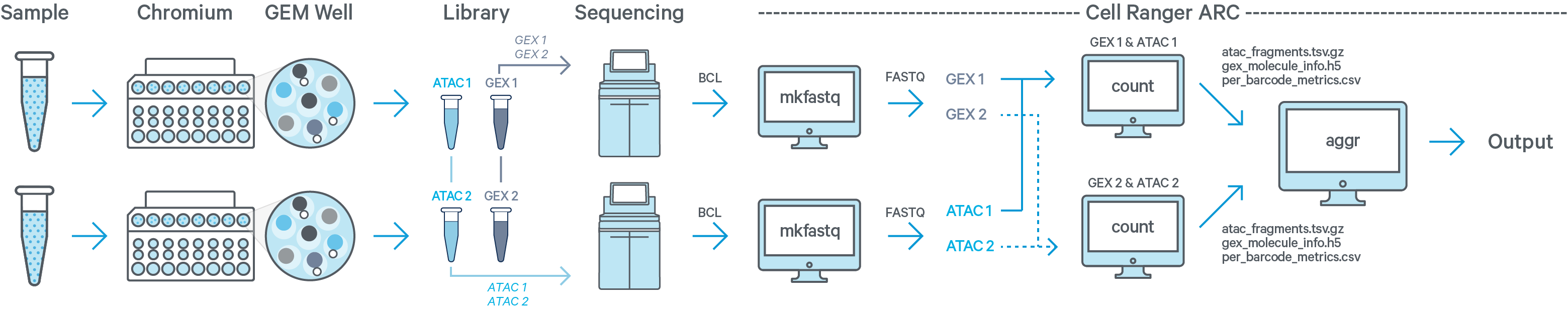 What is Cell Ranger ARC? | Official 10x Genomics Support